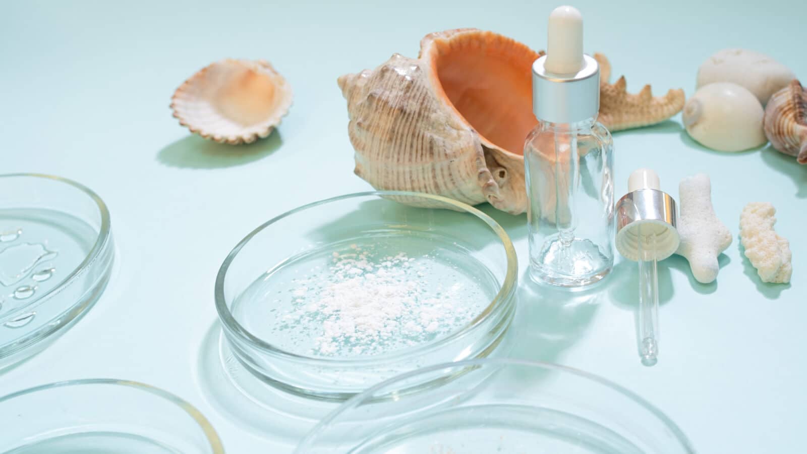 Top 10 Most Powerful Marine Ingredients In Skincare